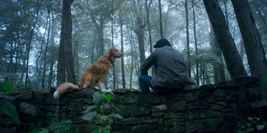 Movie Review: Good Boy – The Joy of Movies